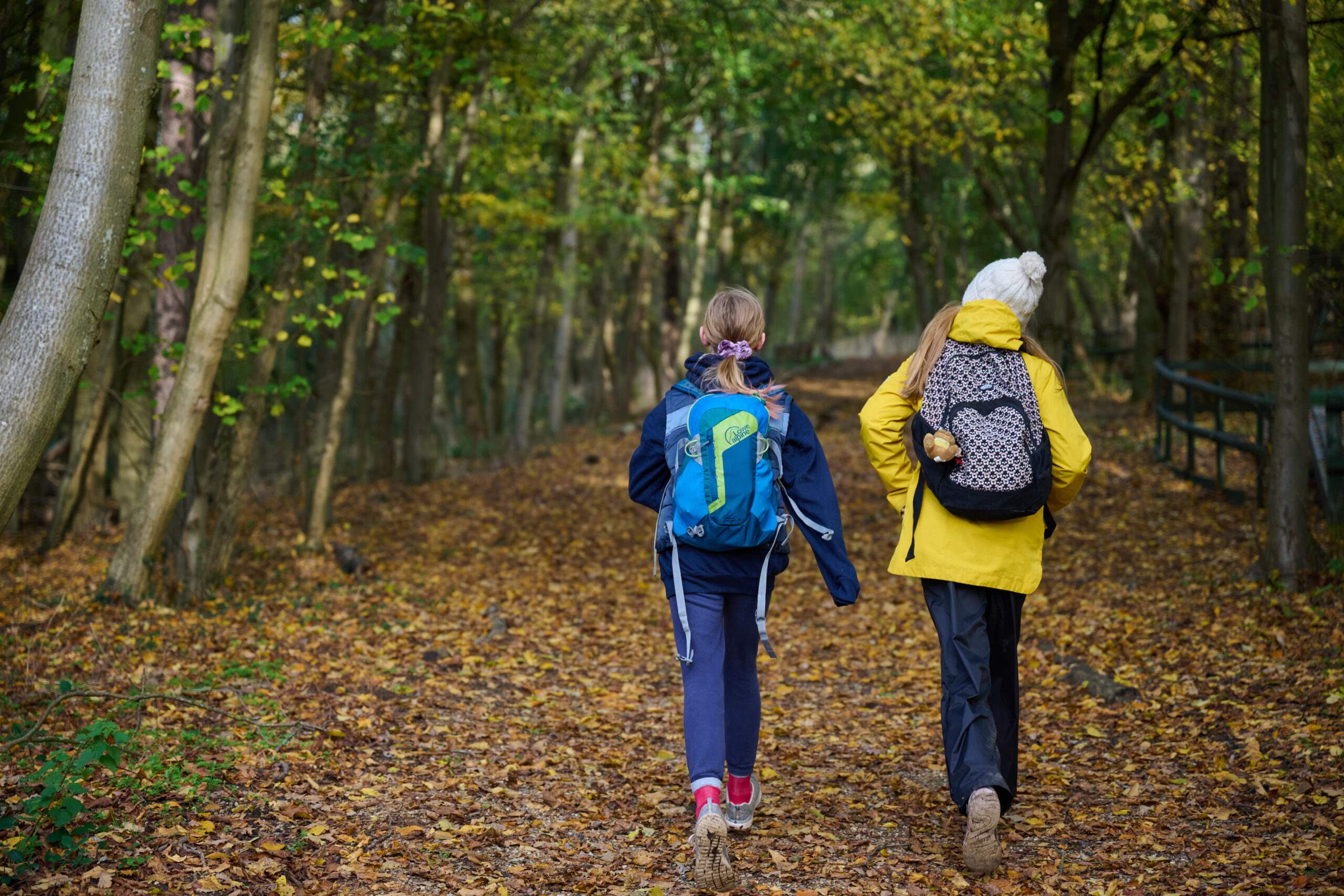 Work with us - ScoutsCymru