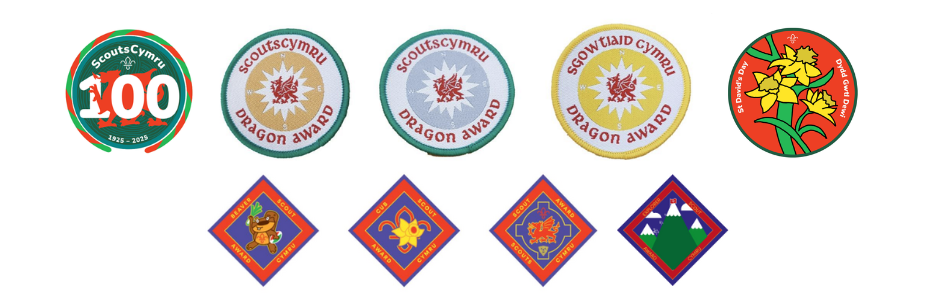 Celebrating Scouting in Wales on St David's Day - ScoutsCymru